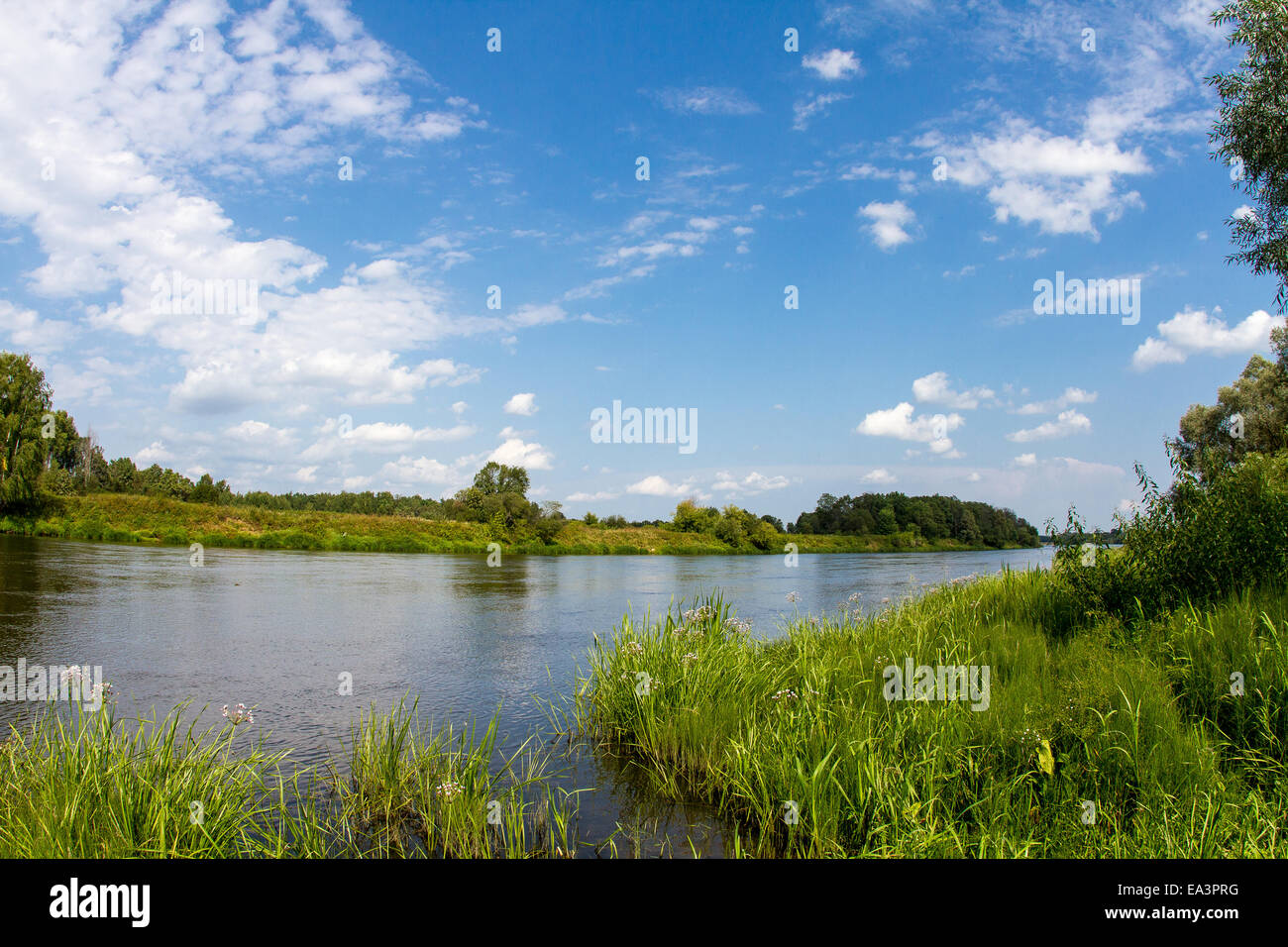 Klyazma river, Vladimir region, Russia Stock Photo - Alamy