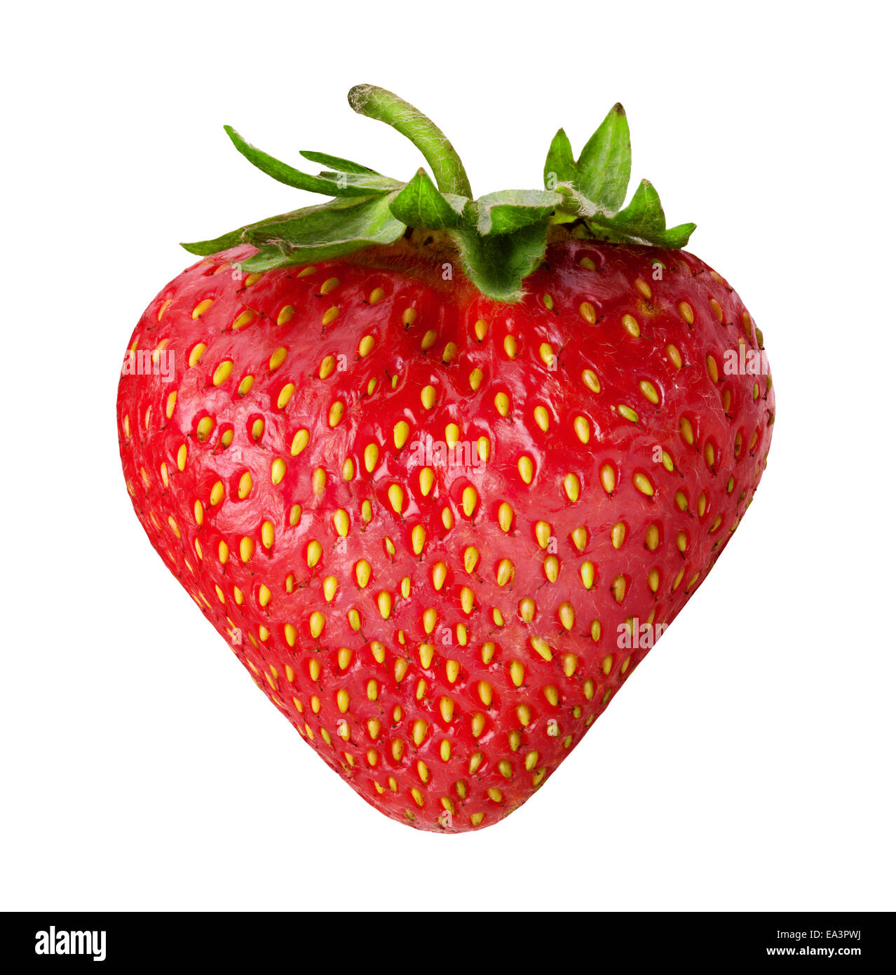 The strawberries hi-res stock photography and images - Alamy
