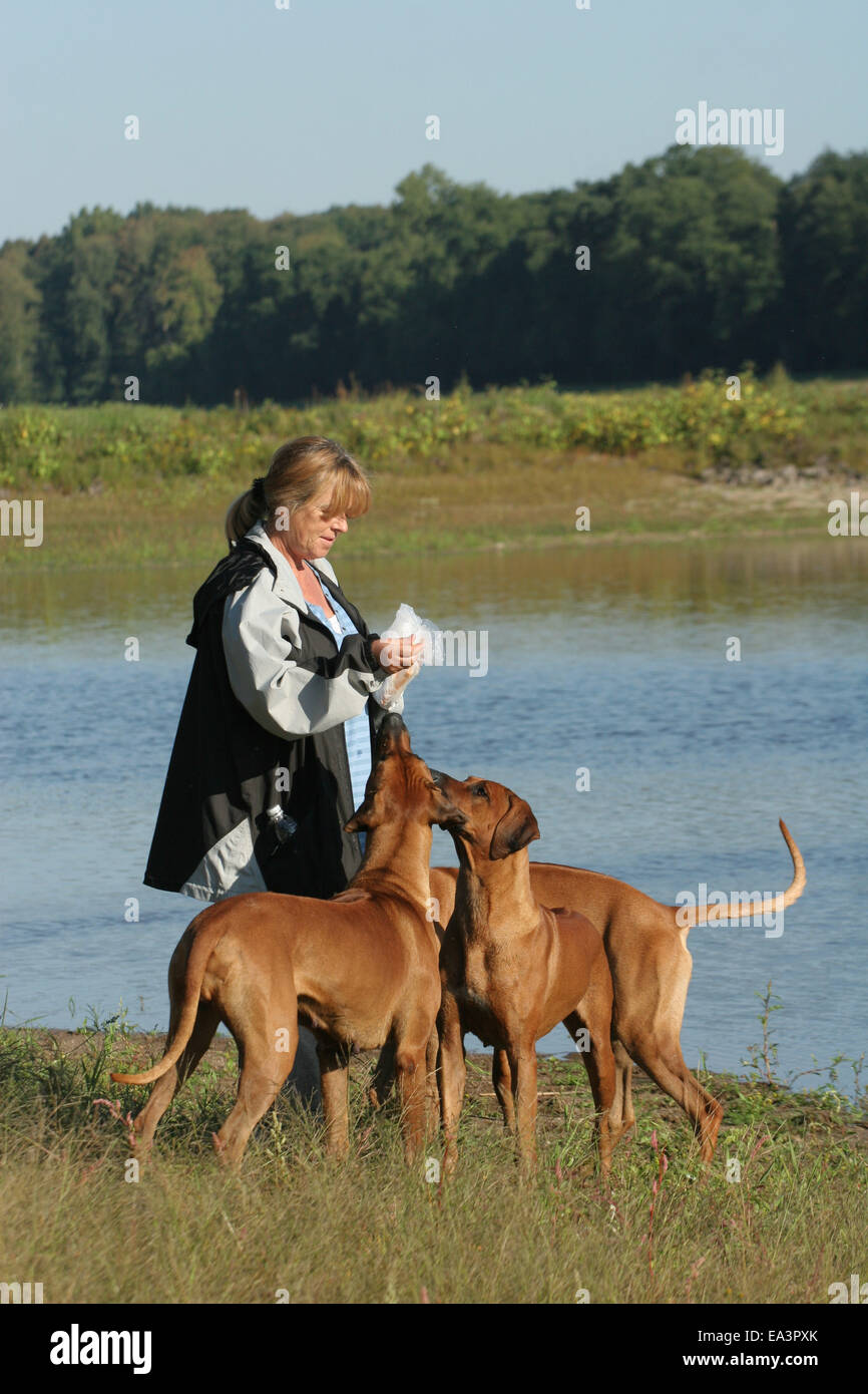 woman with Rhodesian Ridgeback Stock Photo - Alamy