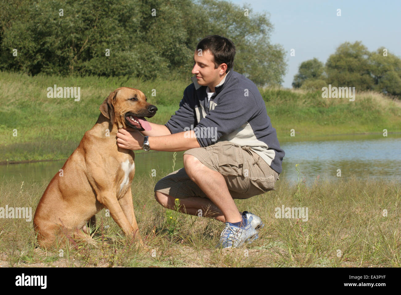 man with Rhodesian Ridgeback Stock Photo - Alamy
