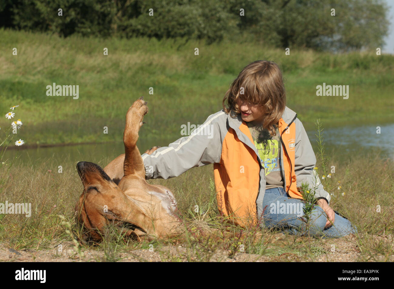boy with Rhodesian Ridgeback Stock Photo - Alamy