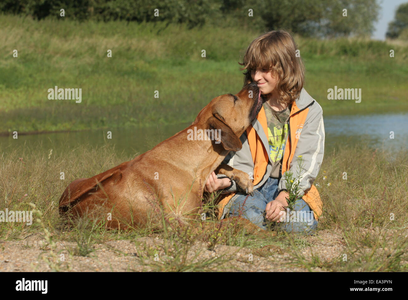 boy with Rhodesian Ridgeback Stock Photo - Alamy