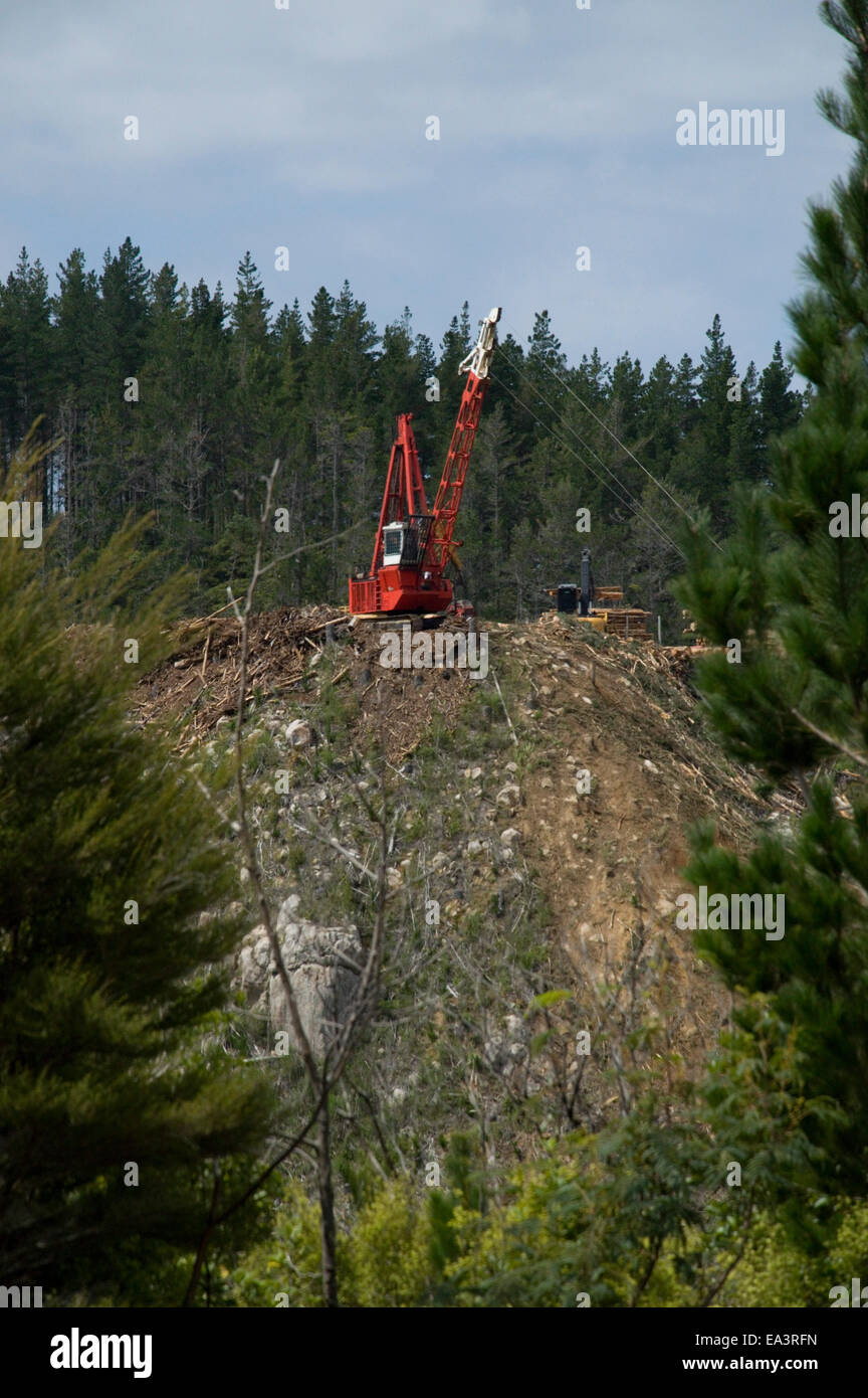 Logging in New Zealand Stock Photo - Alamy