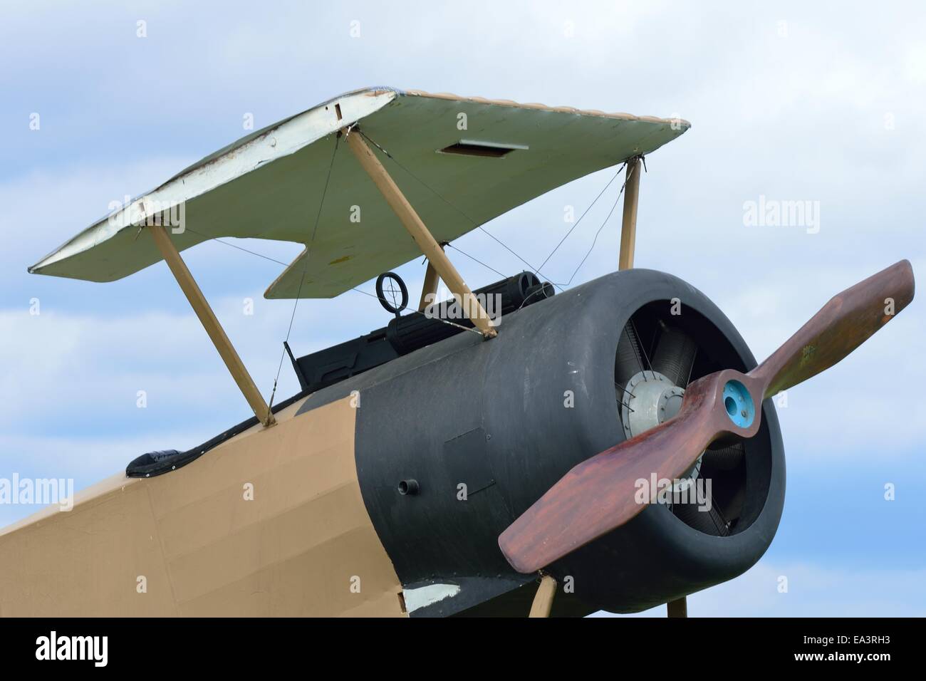 Wingless hi-res stock photography and images - Alamy