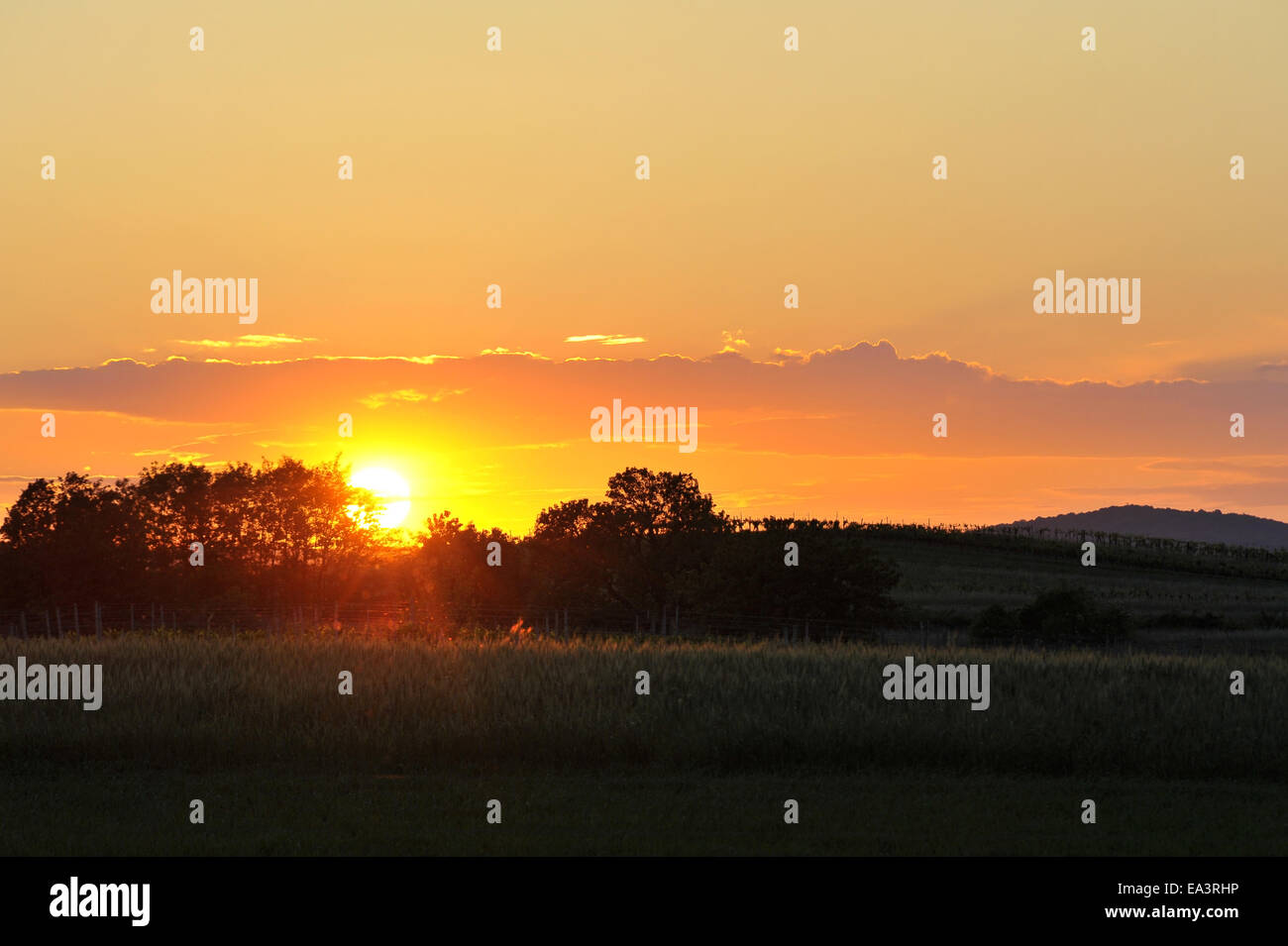 Sunset at Rust Hills in Burgenland Stock Photo - Alamy