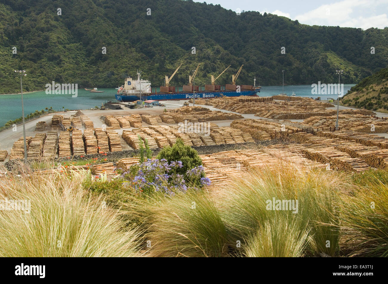 Logging in New Zealand Stock Photo - Alamy