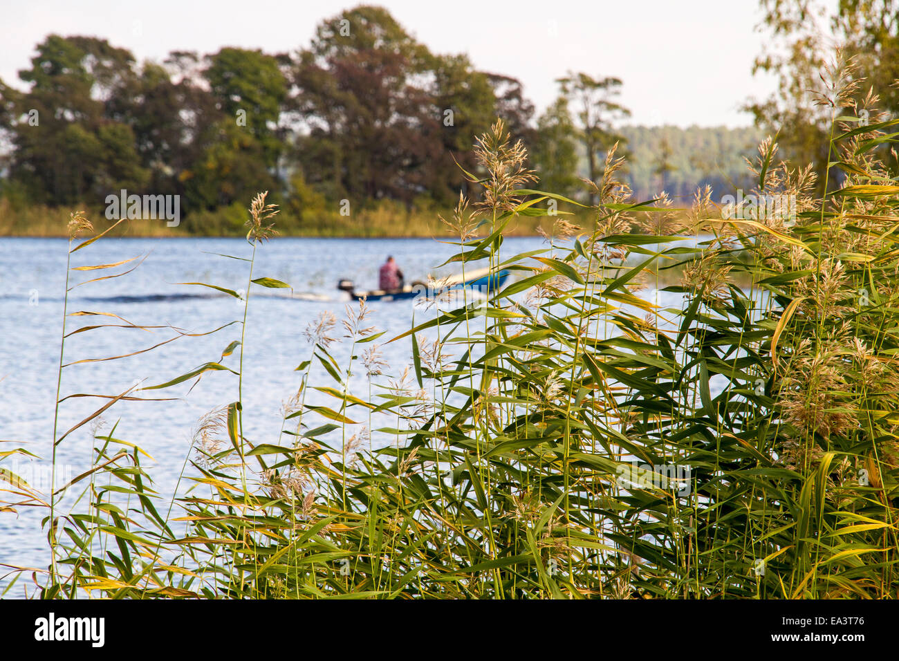Lake seliger russia russian hi-res stock photography and images - Alamy