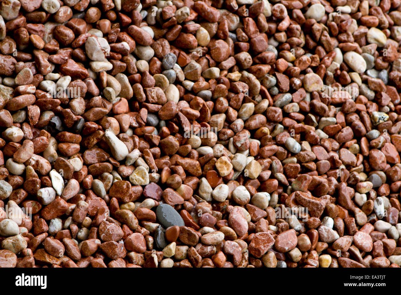 Close up of sticks and stones Stock Photo - Alamy