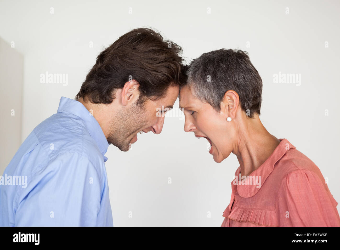 Angry business people shouting at each other Stock Photo - Alamy