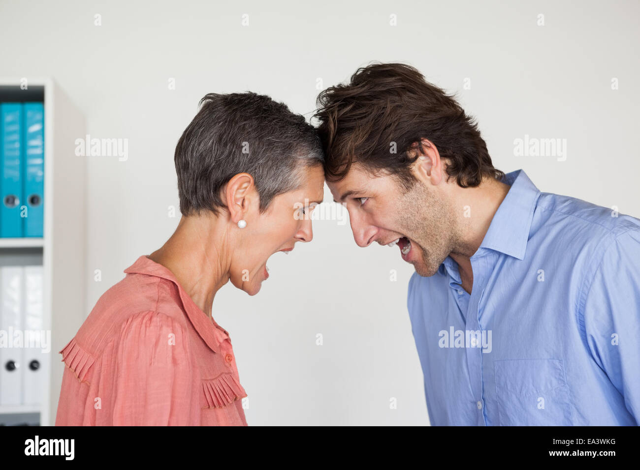 Angry business people shouting at each other Stock Photo - Alamy