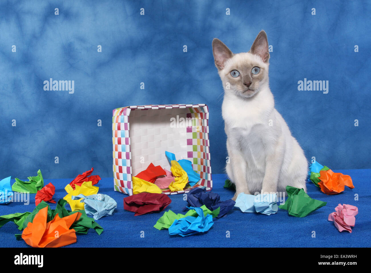 Young scrap hi-res stock photography and images - Alamy