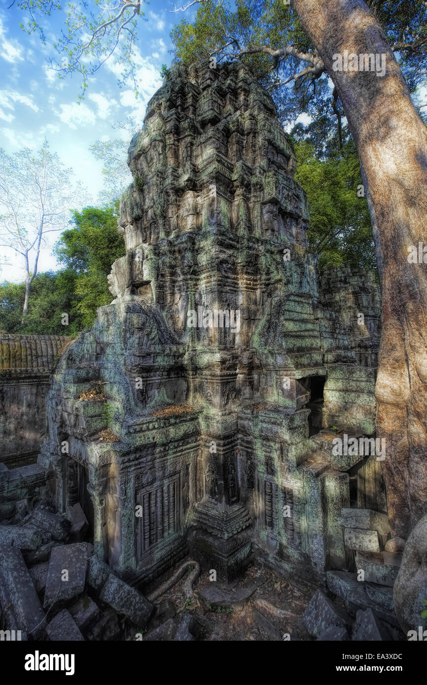 Ta phrom jungle temple hi-res stock photography and images - Alamy