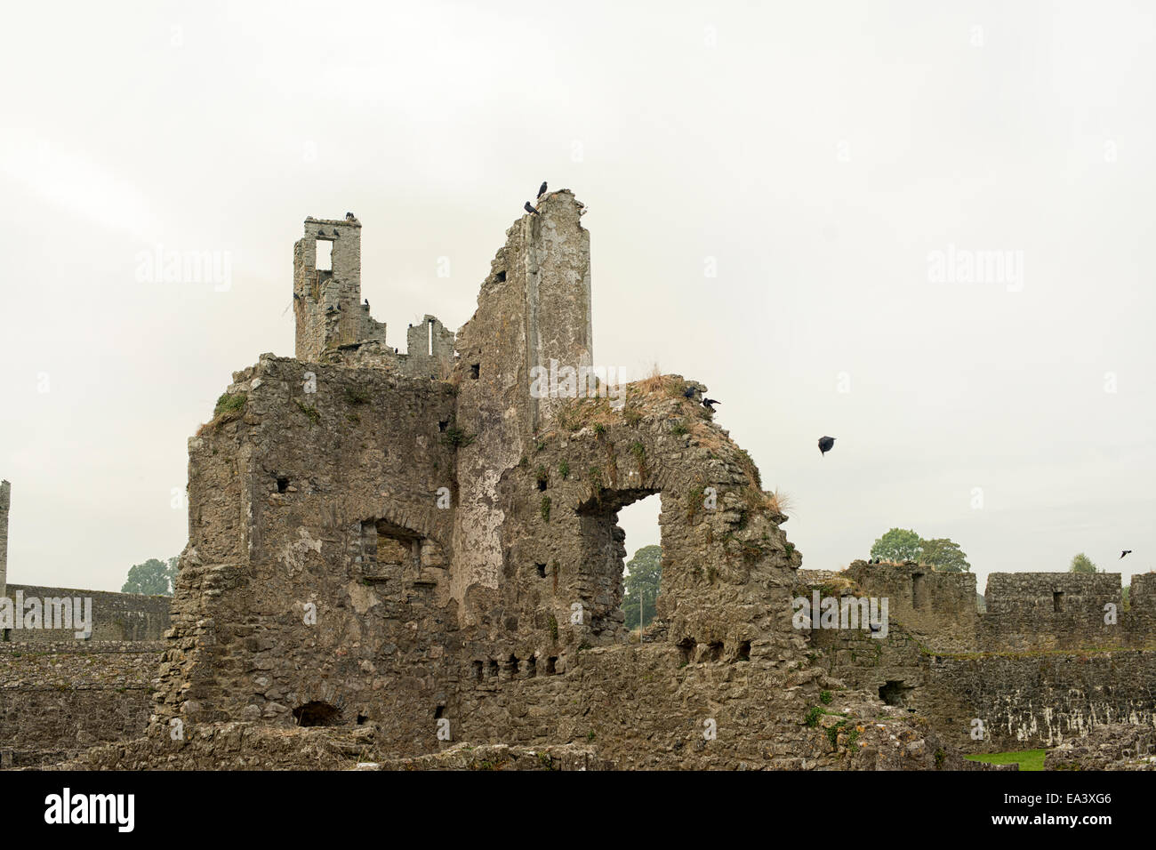 Kells ireland hi-res stock photography and images - Alamy