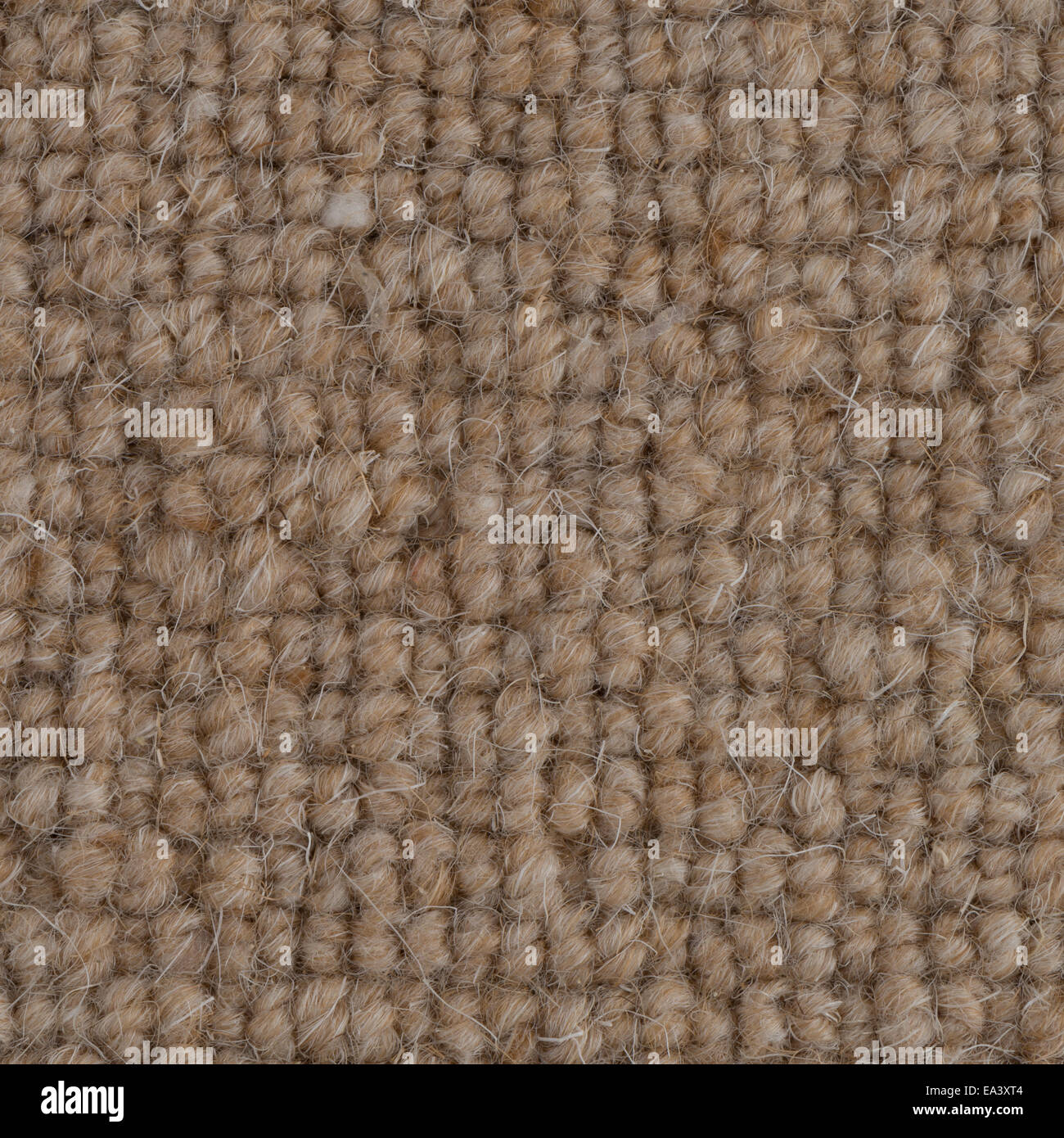 Beige brown carpet texture hi-res stock photography and images - Alamy