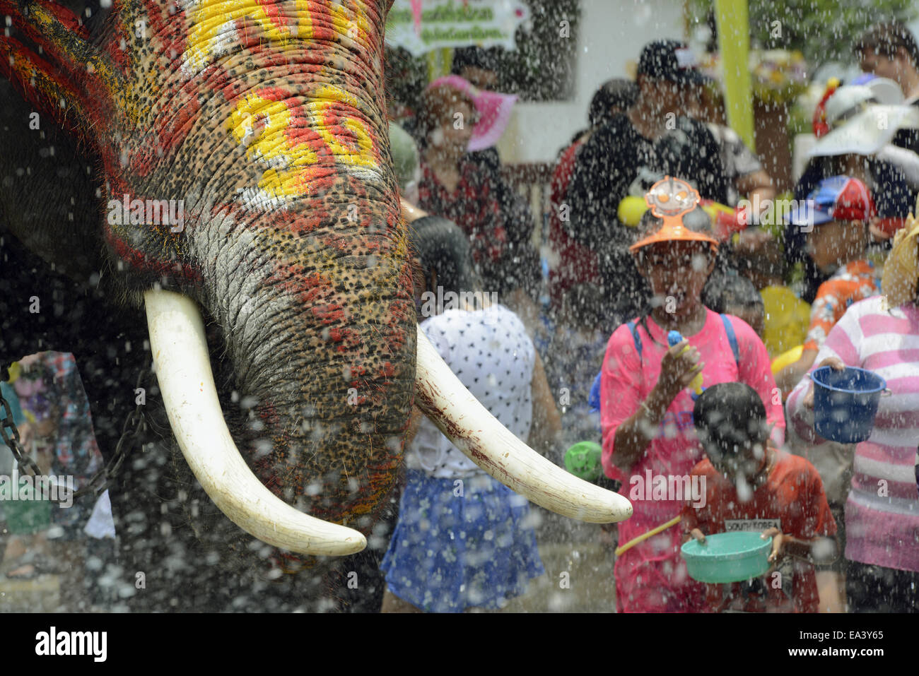 Songkran elefant hi-res stock photography and images - Alamy