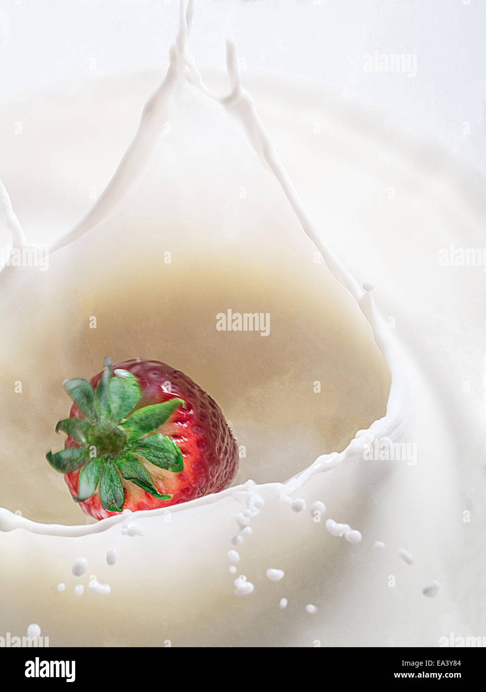 A strawberry drops in milk Stock Photo - Alamy