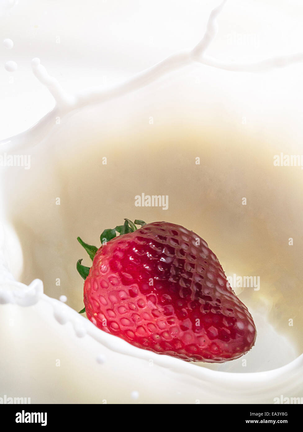 A strawberry drops in milk Stock Photo - Alamy