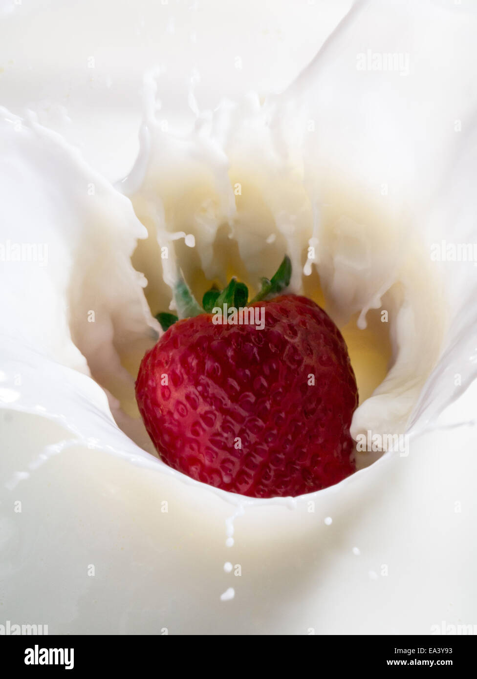 A strawberry drops in milk Stock Photo - Alamy