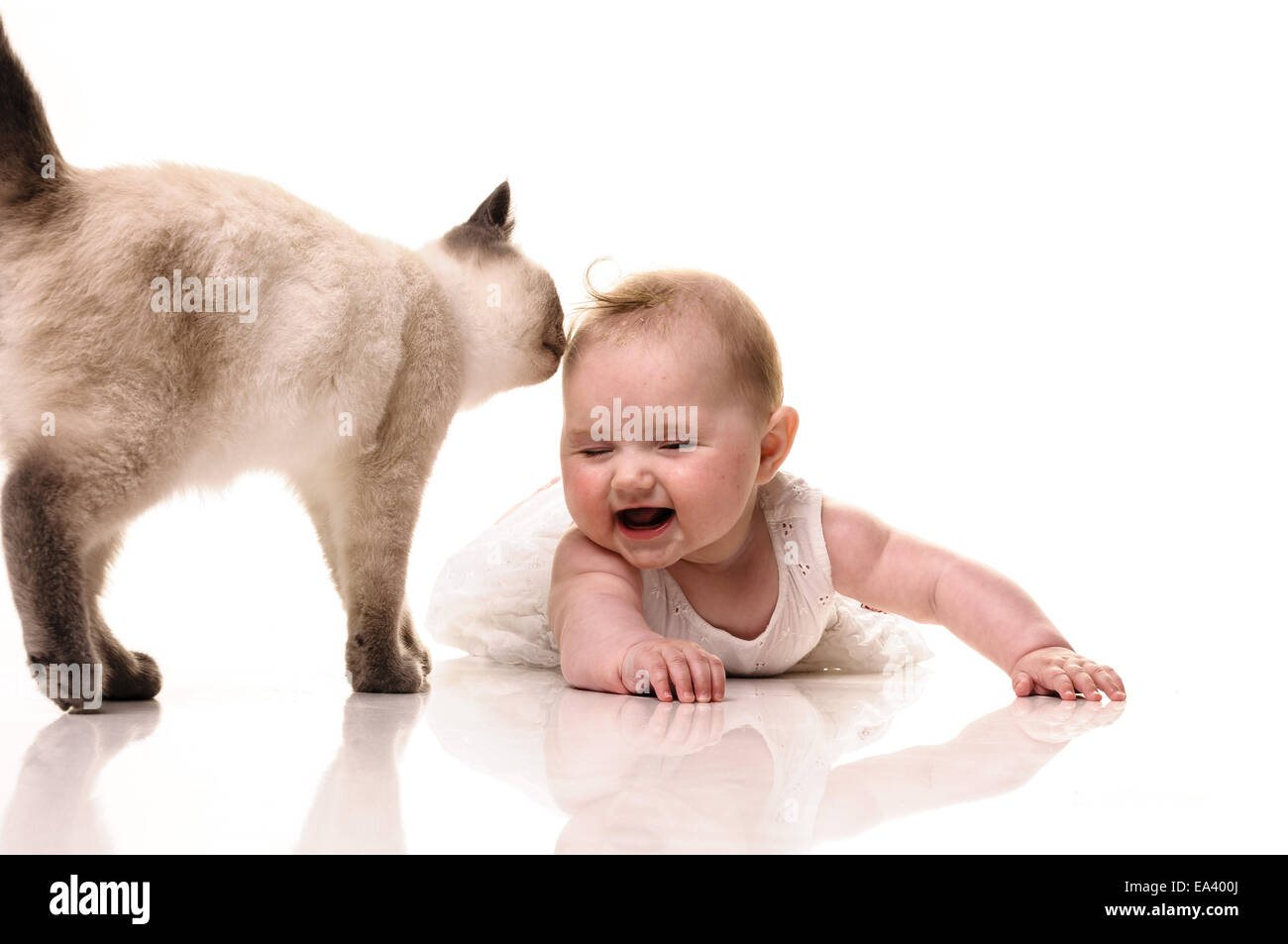 Baby with kitten Stock Photo - Alamy