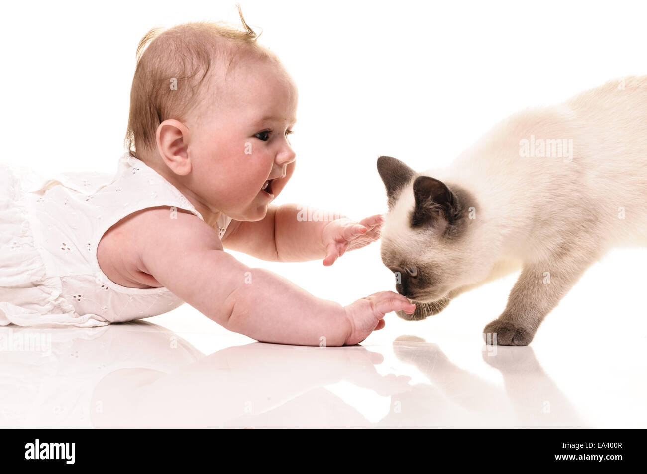 Baby with kitten Stock Photo - Alamy