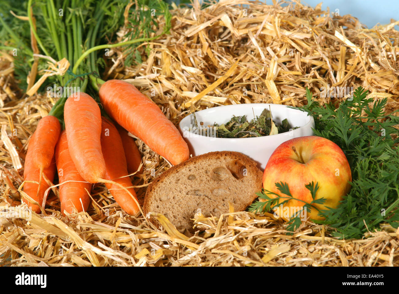 Fodder hi-res stock photography and images - Alamy