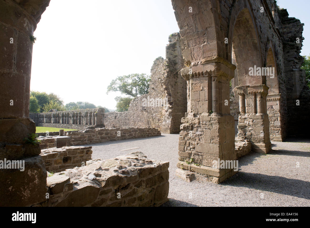 Jerpoint abbey colonnade Stock Photo - Alamy