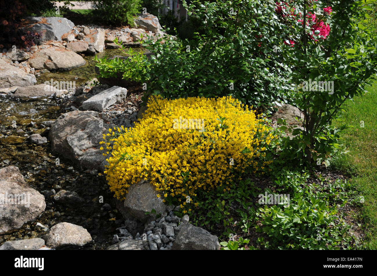 Lydia broom hi-res stock photography and images - Alamy