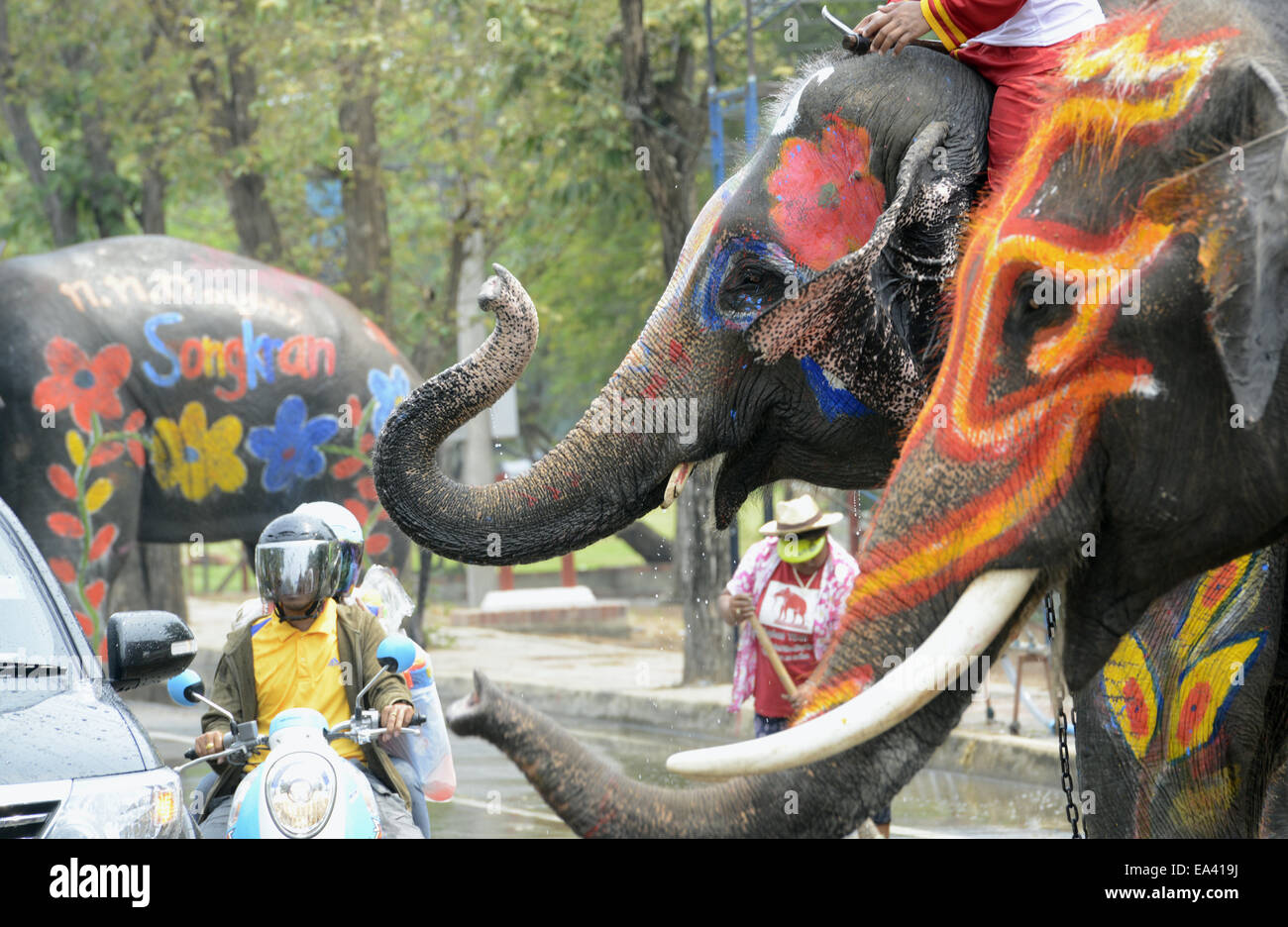 Songkran elefant hi-res stock photography and images - Alamy