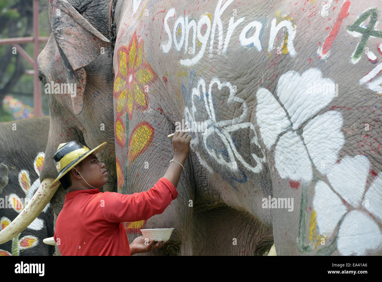 Songkran elefant hi-res stock photography and images - Alamy