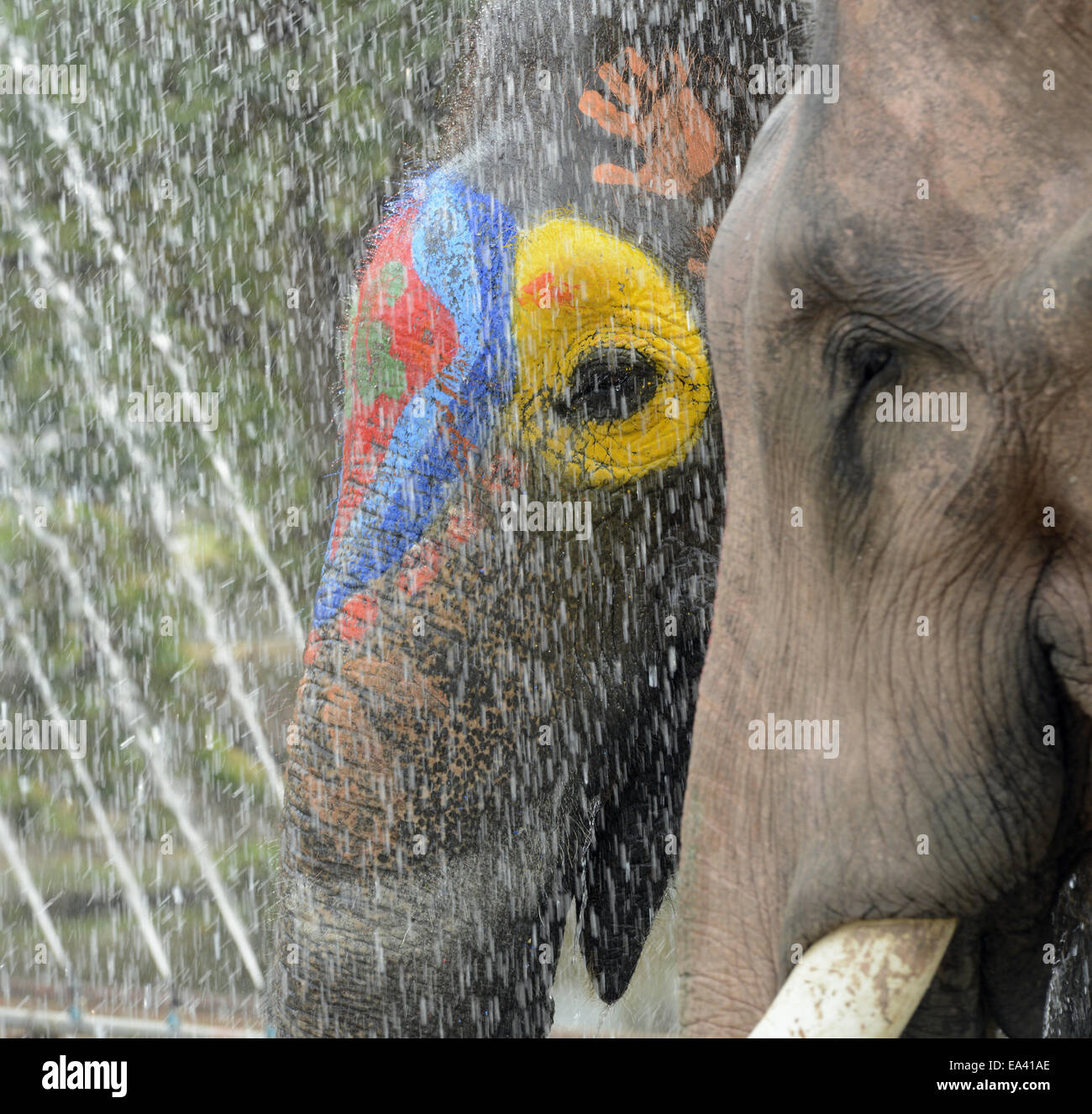 THAILAND SONGKRAN FESTIVAL Stock Photo - Alamy