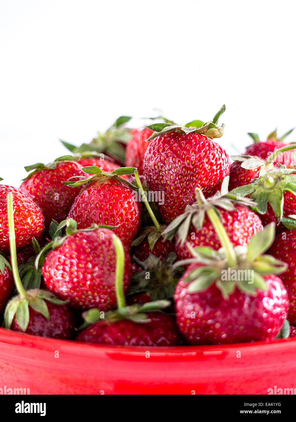 Strawberries picked hi-res stock photography and images - Alamy
