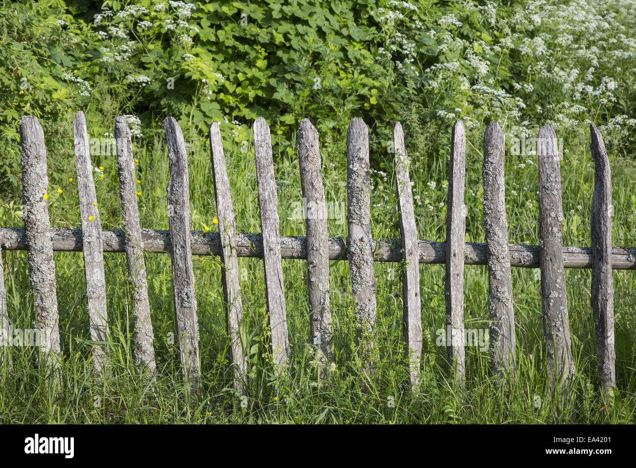 Rustic corral hi-res stock photography and images - Alamy