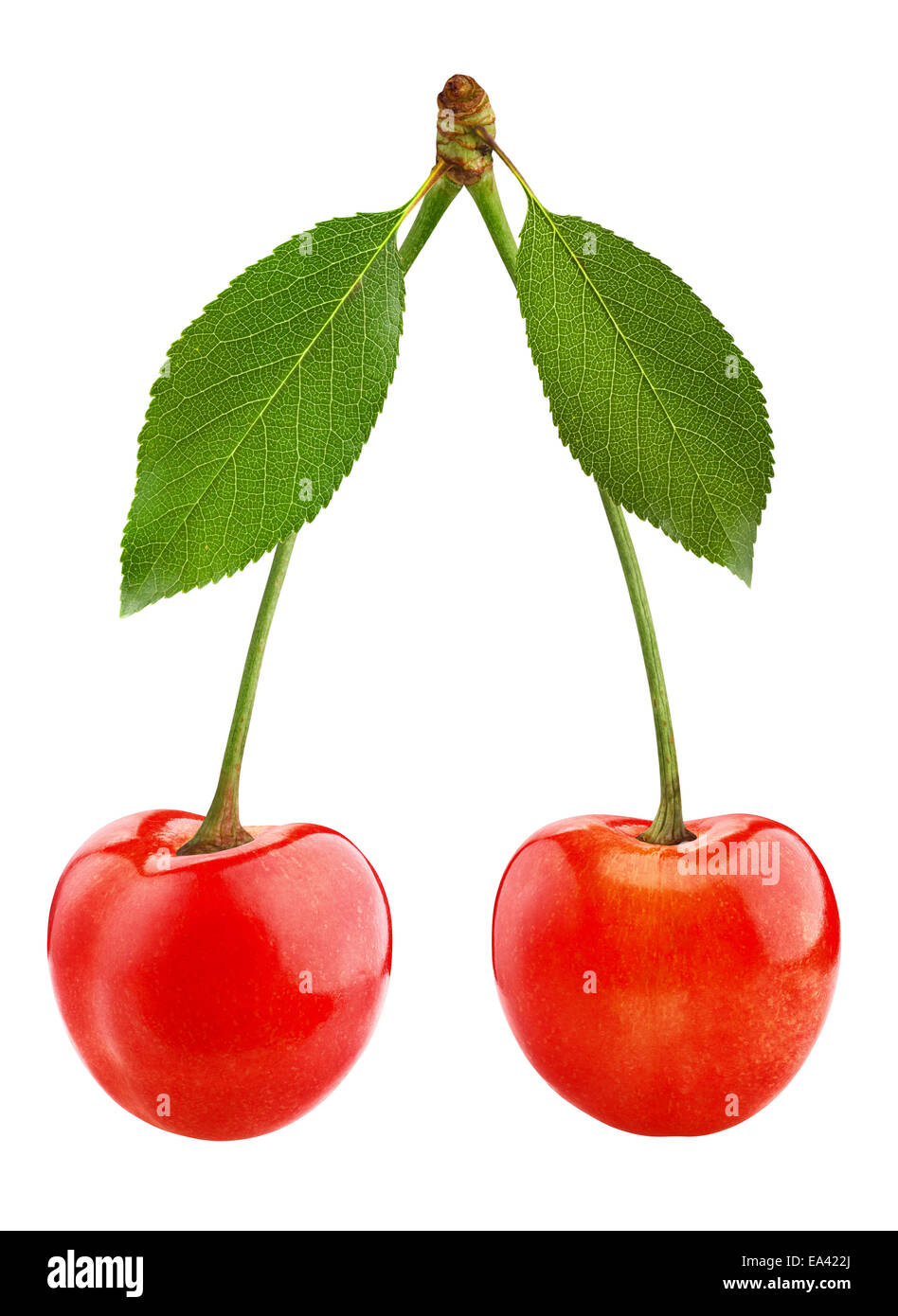 Perfect cherries hi-res stock photography and images - Alamy