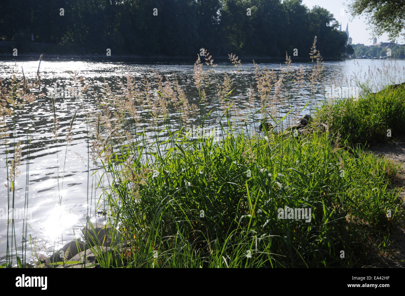 Grosser wasserschwaden hi-res stock photography and images - Alamy