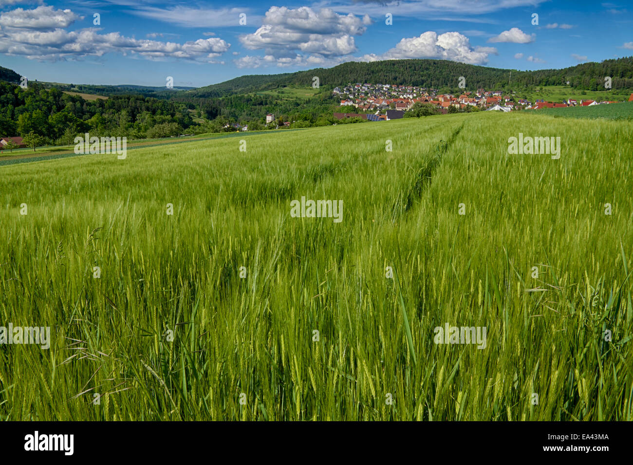 Green landscape hi-res stock photography and images - Alamy