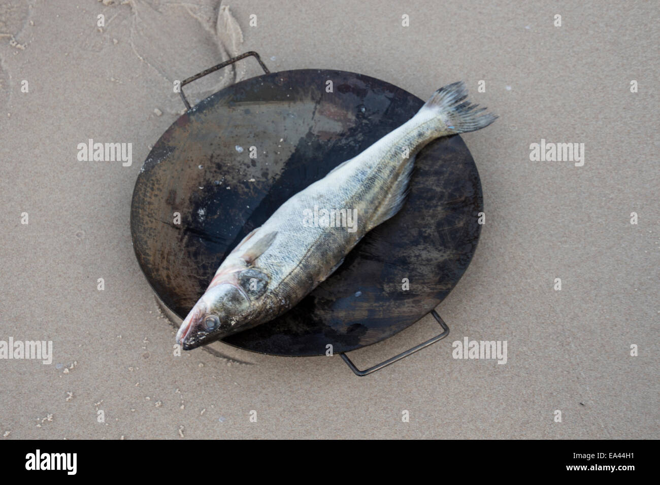 Fish on plate on beach Stock Photo - Alamy