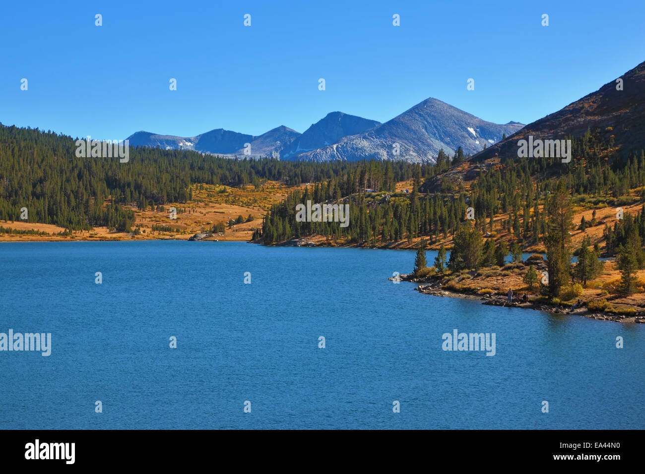 Lake Tioga in picturesque mountains Stock Photo - Alamy