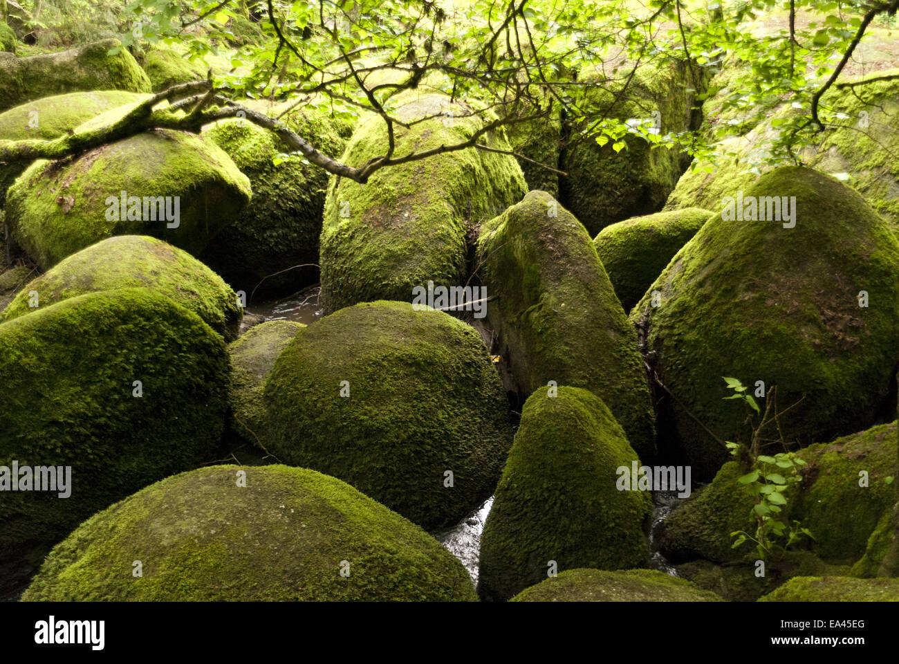 Nature Reserve Doost Stock Photo - Alamy