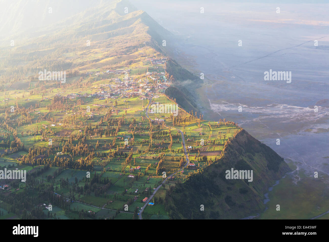 Field in Java Stock Photo - Alamy