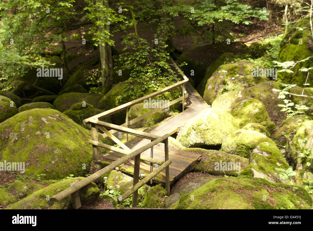 Nature Reserve Doost Stock Photo - Alamy