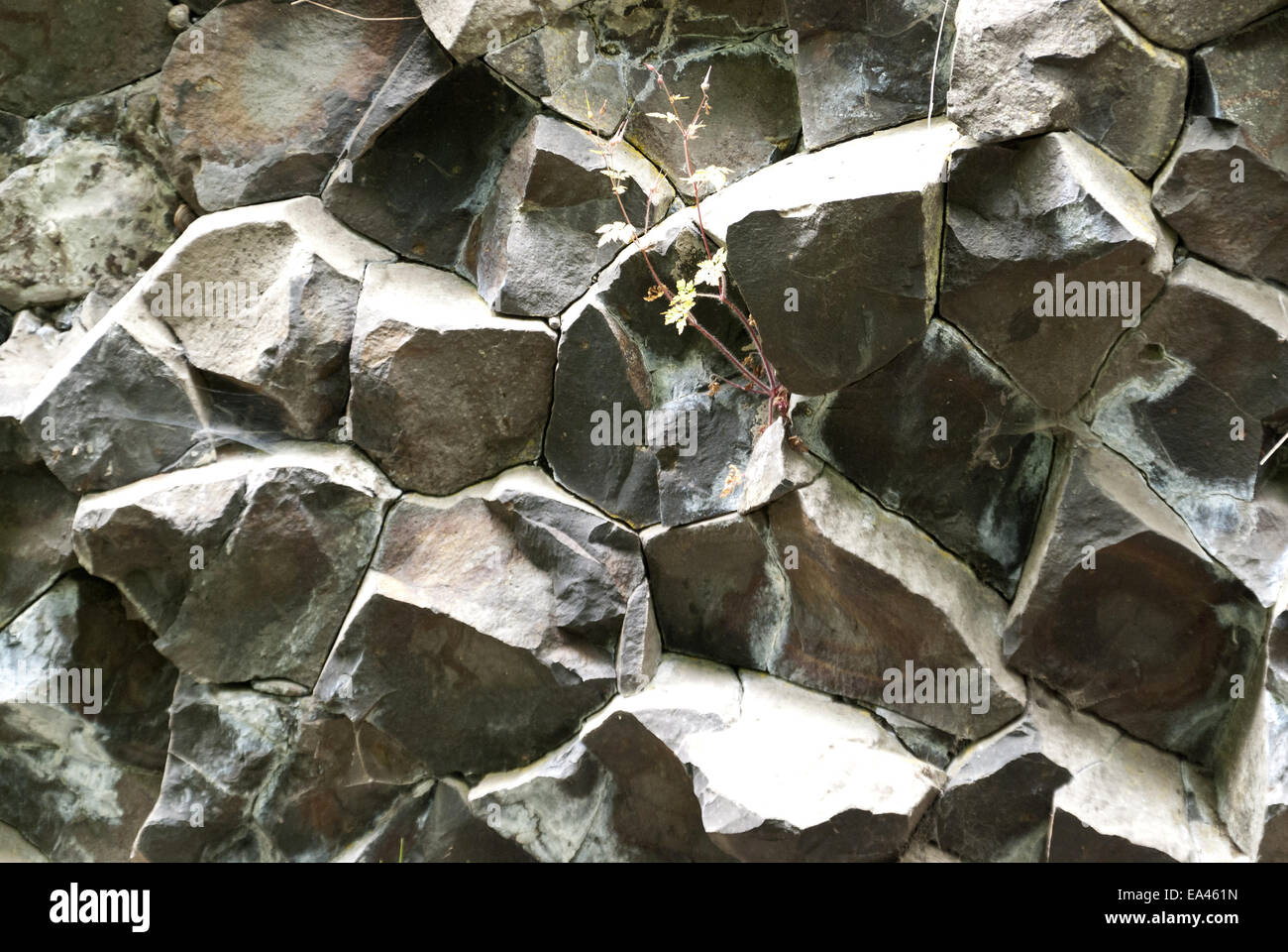 Volcano Parkstein in Germany Stock Photo - Alamy