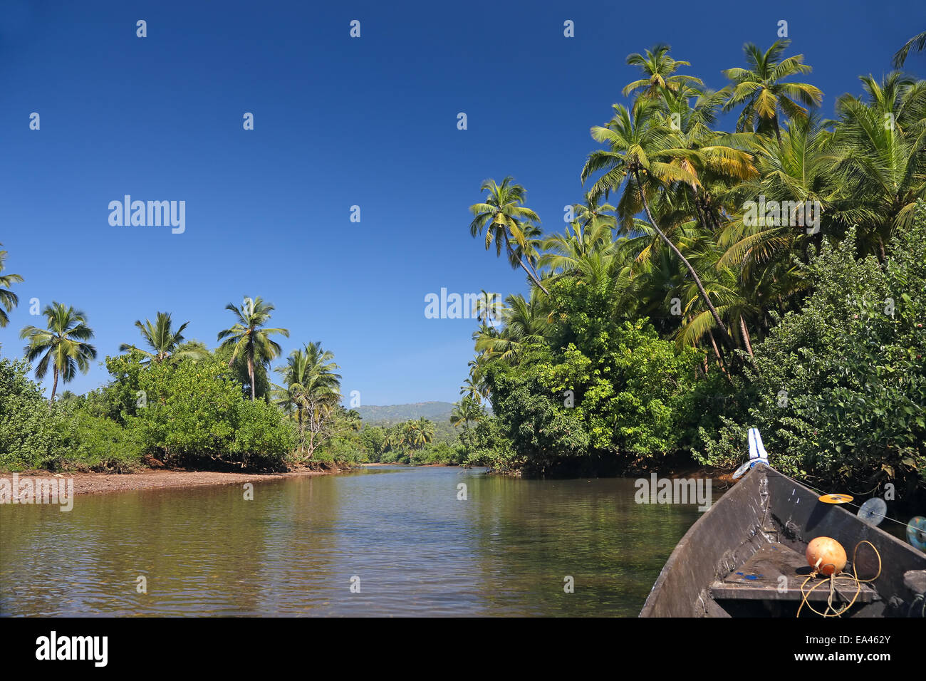 Coconut tree river floating hi-res stock photography and images - Alamy