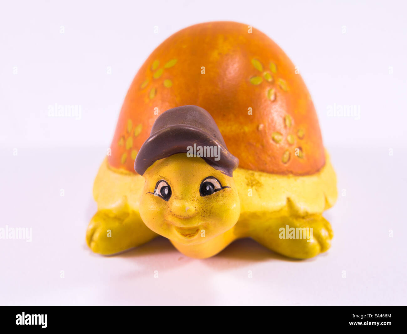 Turtle shell souvenir hi-res stock photography and images - Alamy