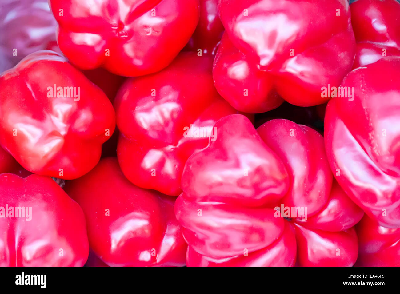 Red raw pepper Stock Photo - Alamy