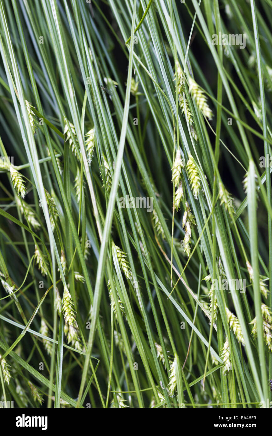 Seets hi-res stock photography and images - Alamy