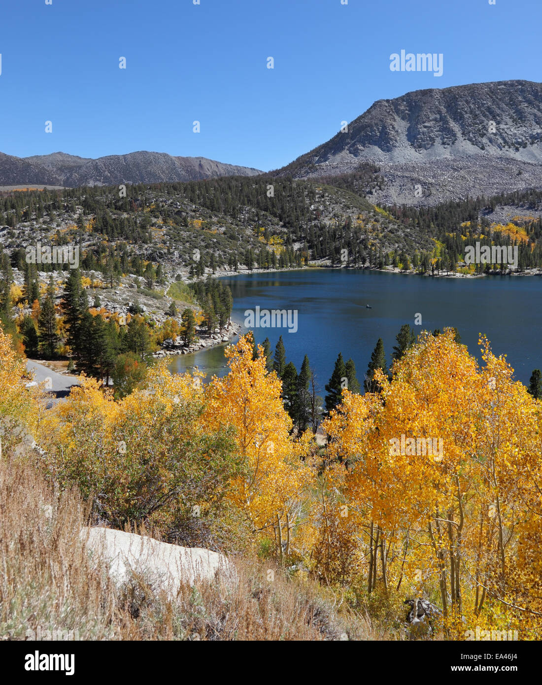 The Magnificent American autumn Stock Photo - Alamy