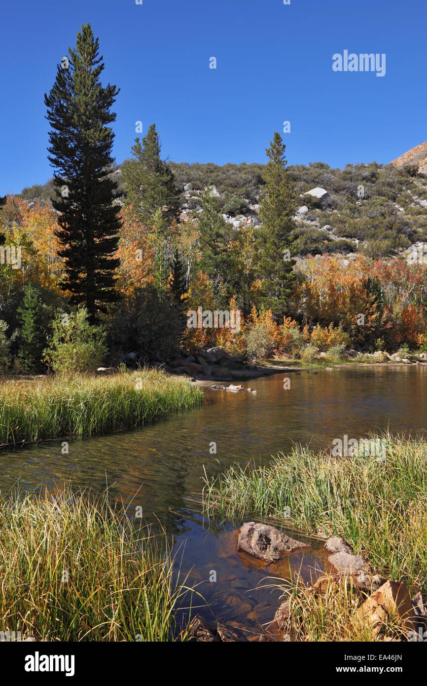 Midday park hi-res stock photography and images - Alamy