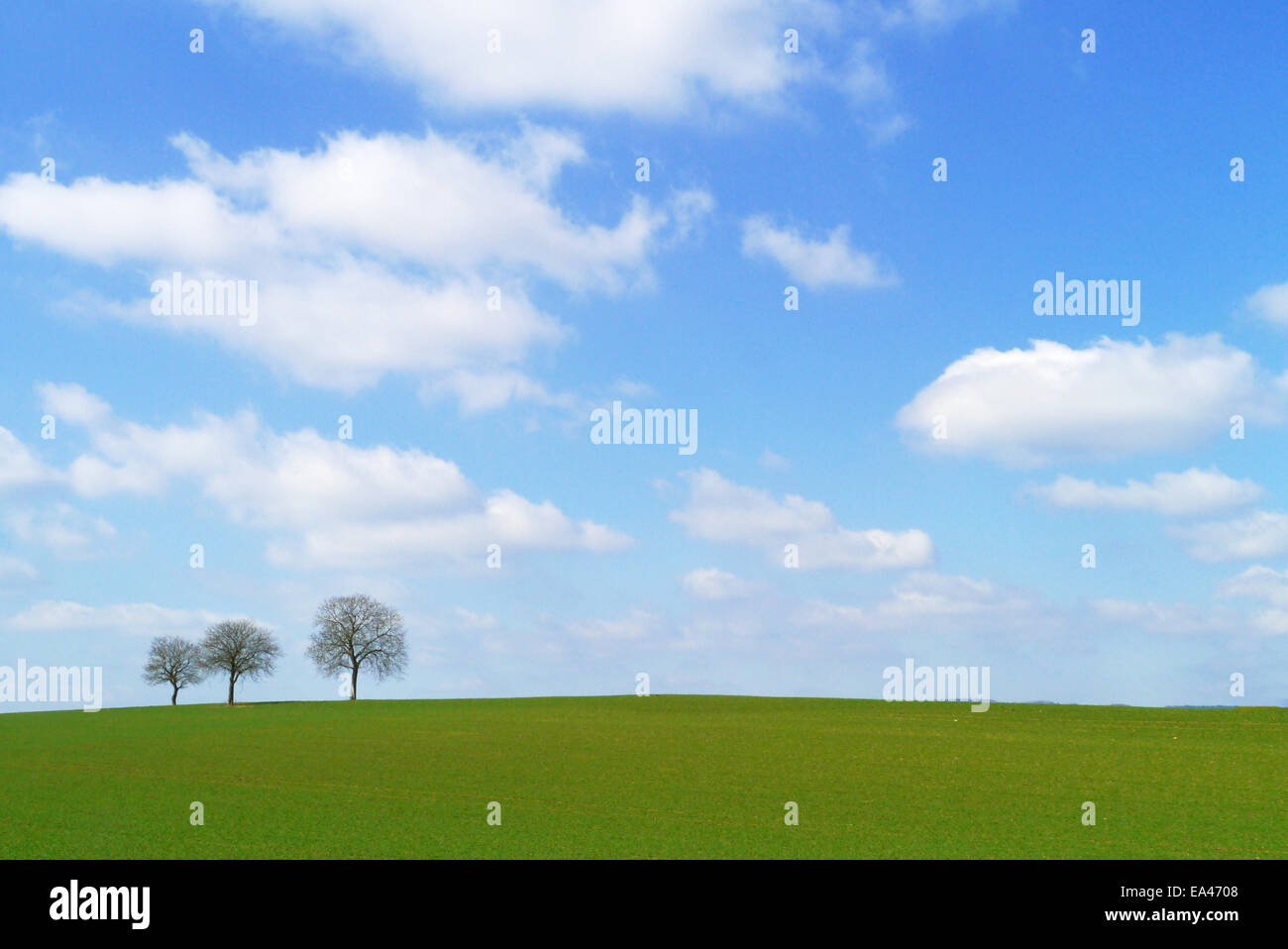 Cloudy sky with trees hi-res stock photography and images - Alamy