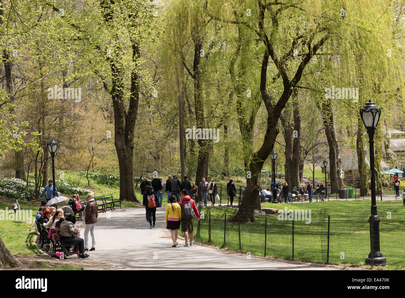 People Enjoying Central Park in Springtime, NYC Stock Photo - Alamy