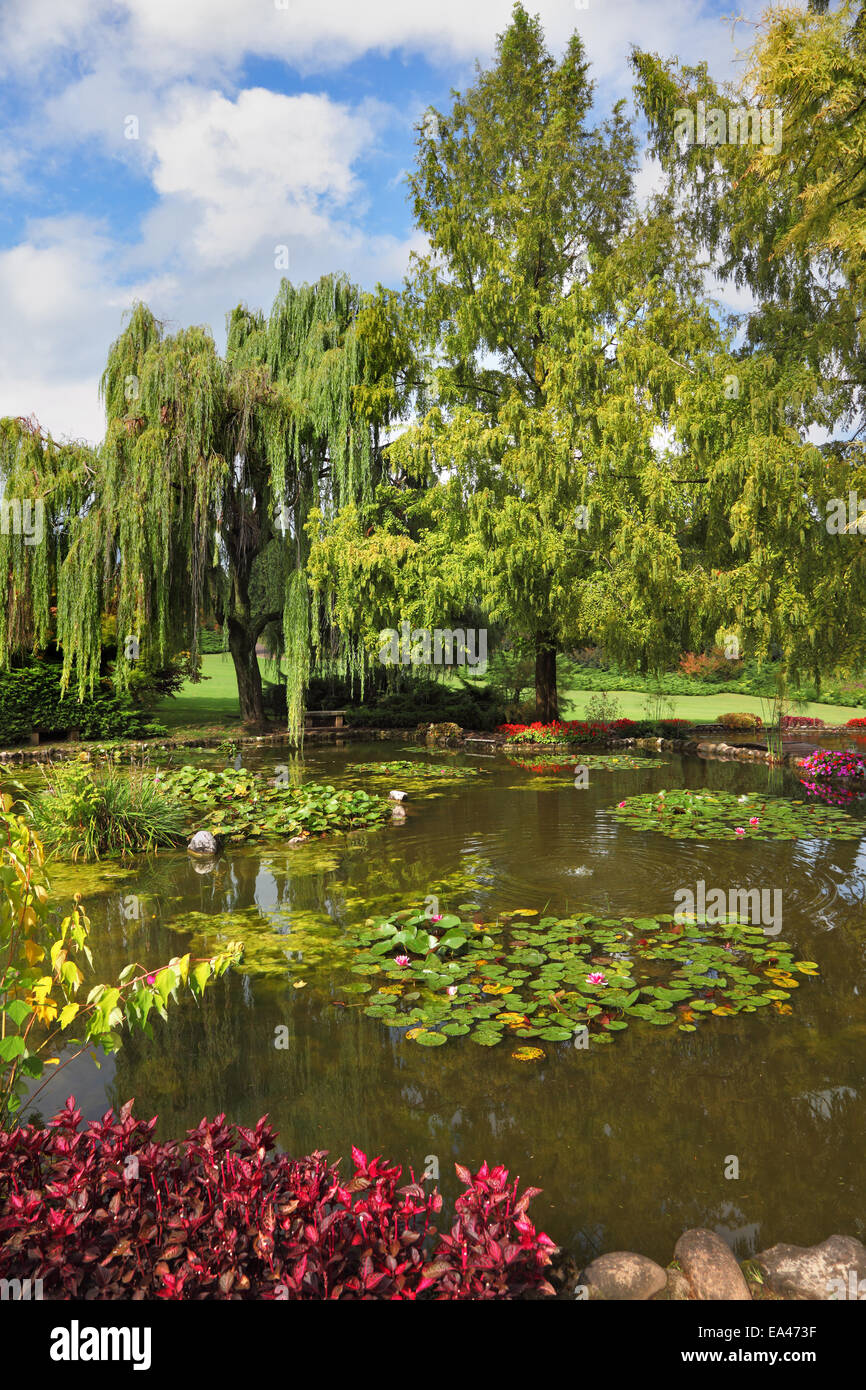 Shallow pond trees flowers hi-res stock photography and images - Alamy